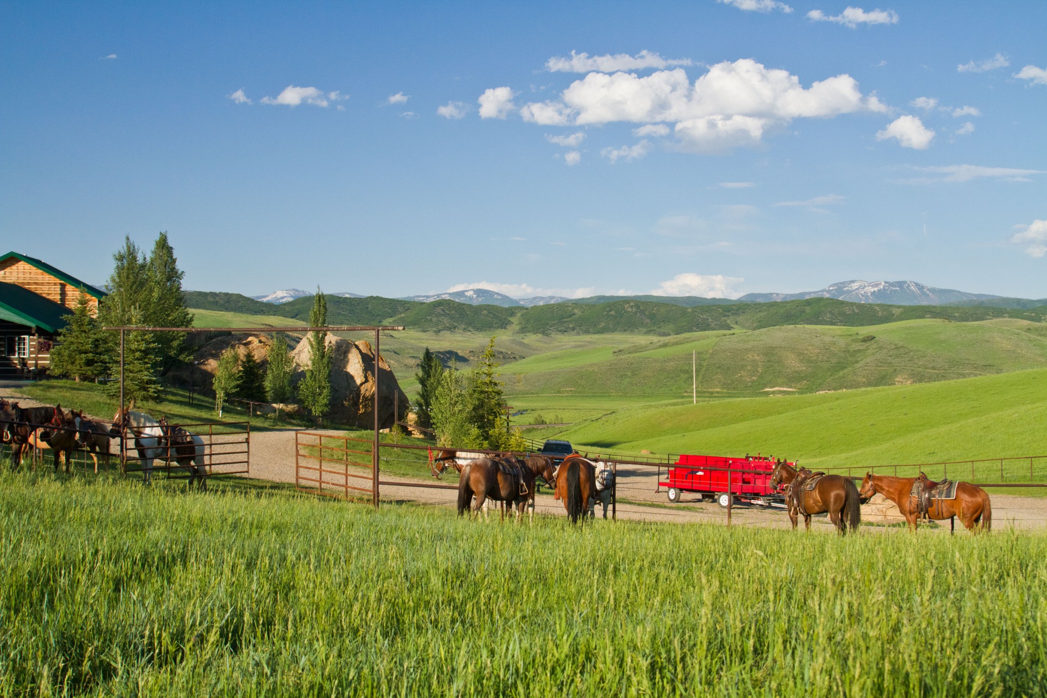 Saddleback Ranch | Outdoor Activities and Cattle Ranch near Steamboat, CO