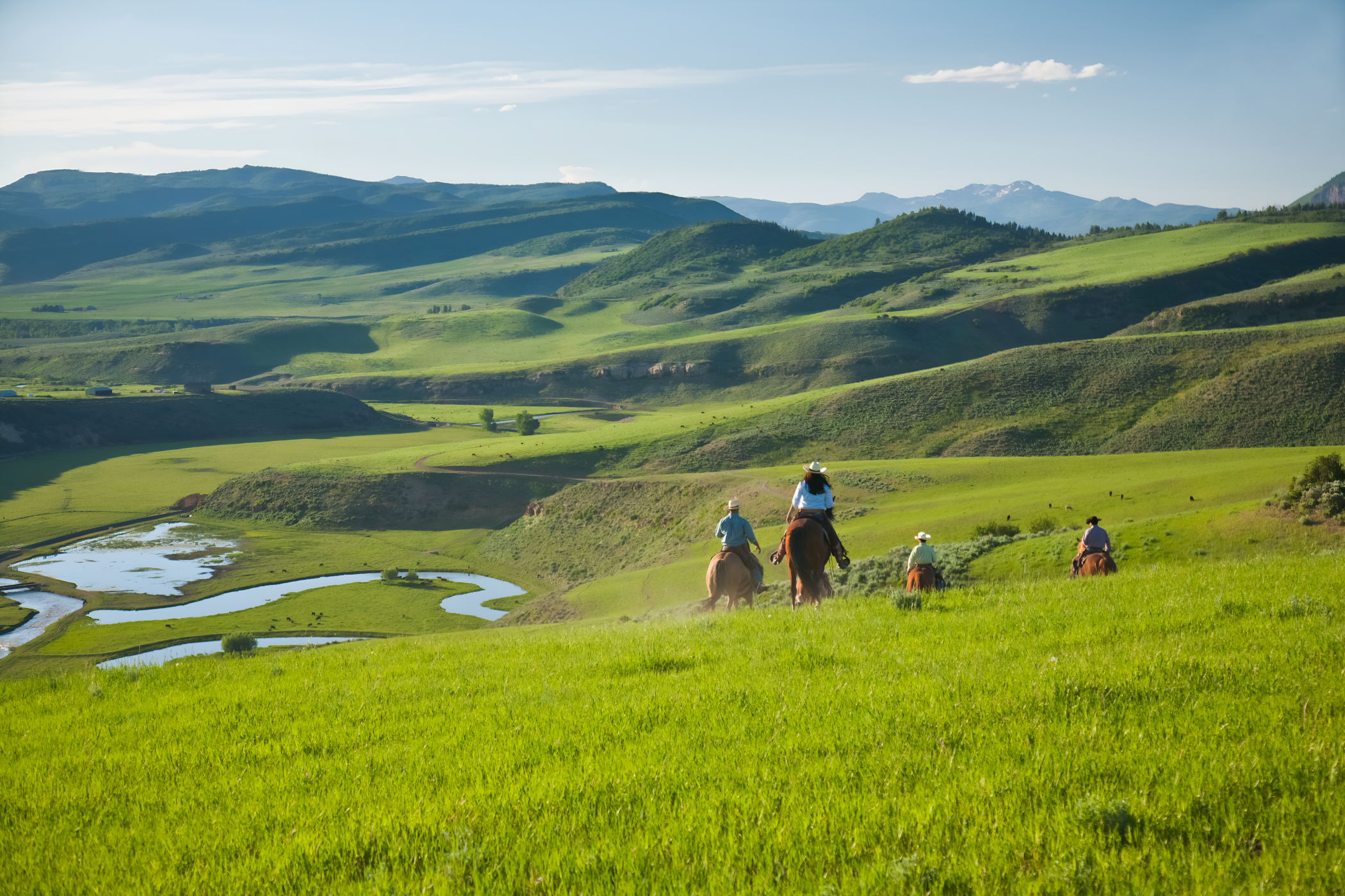 Ranch Work Jobs in Steamboat Springs CO | Saddleback Ranch
